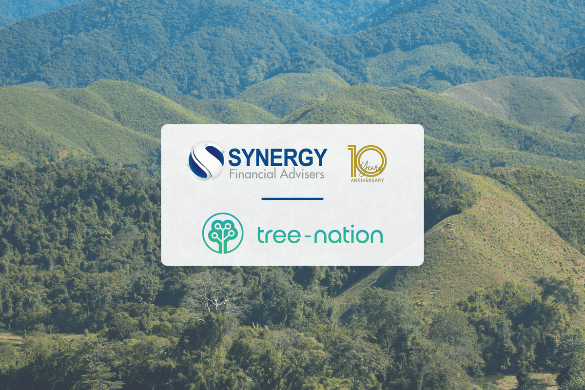 Celebrating Our 10th Anniversary by Planting Roots of Gratitude ...